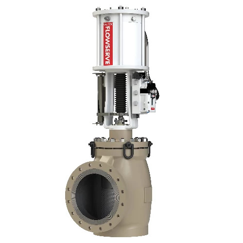 Industrial Linear Globe Compressor Anti Surge Valve Products | Flowserve